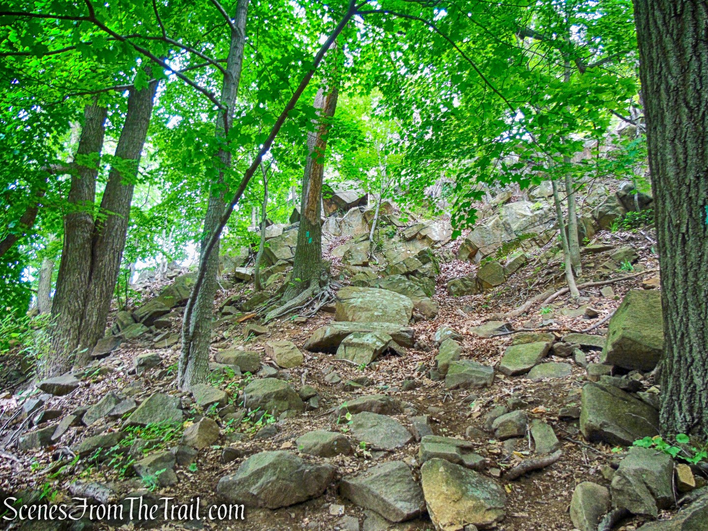 High Tor – Hudson River Palisades