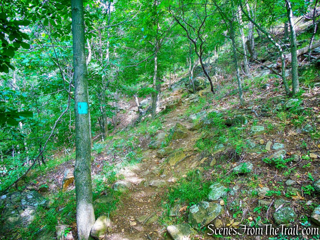 High Tor – Hudson River Palisades