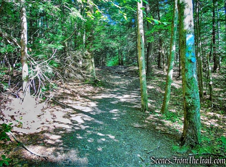 Lost City Loop – Mohonk Preserve