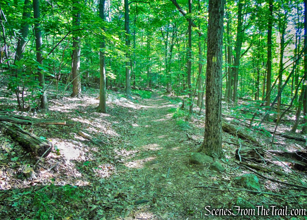 Lost City Loop – Mohonk Preserve