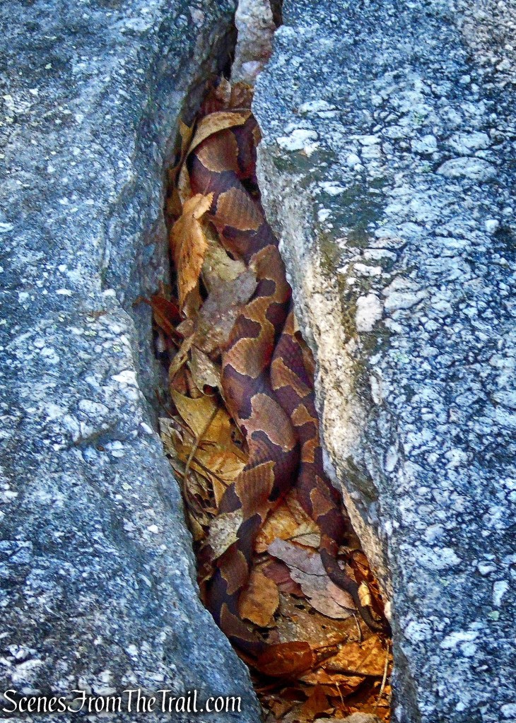 Lost City Loop – Mohonk Preserve