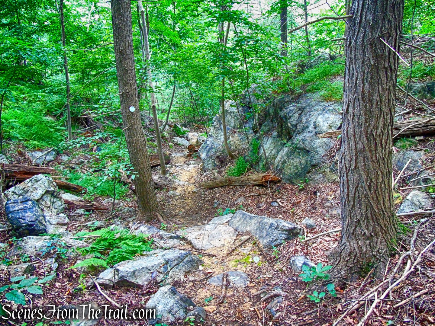 Manitou Point Preserve