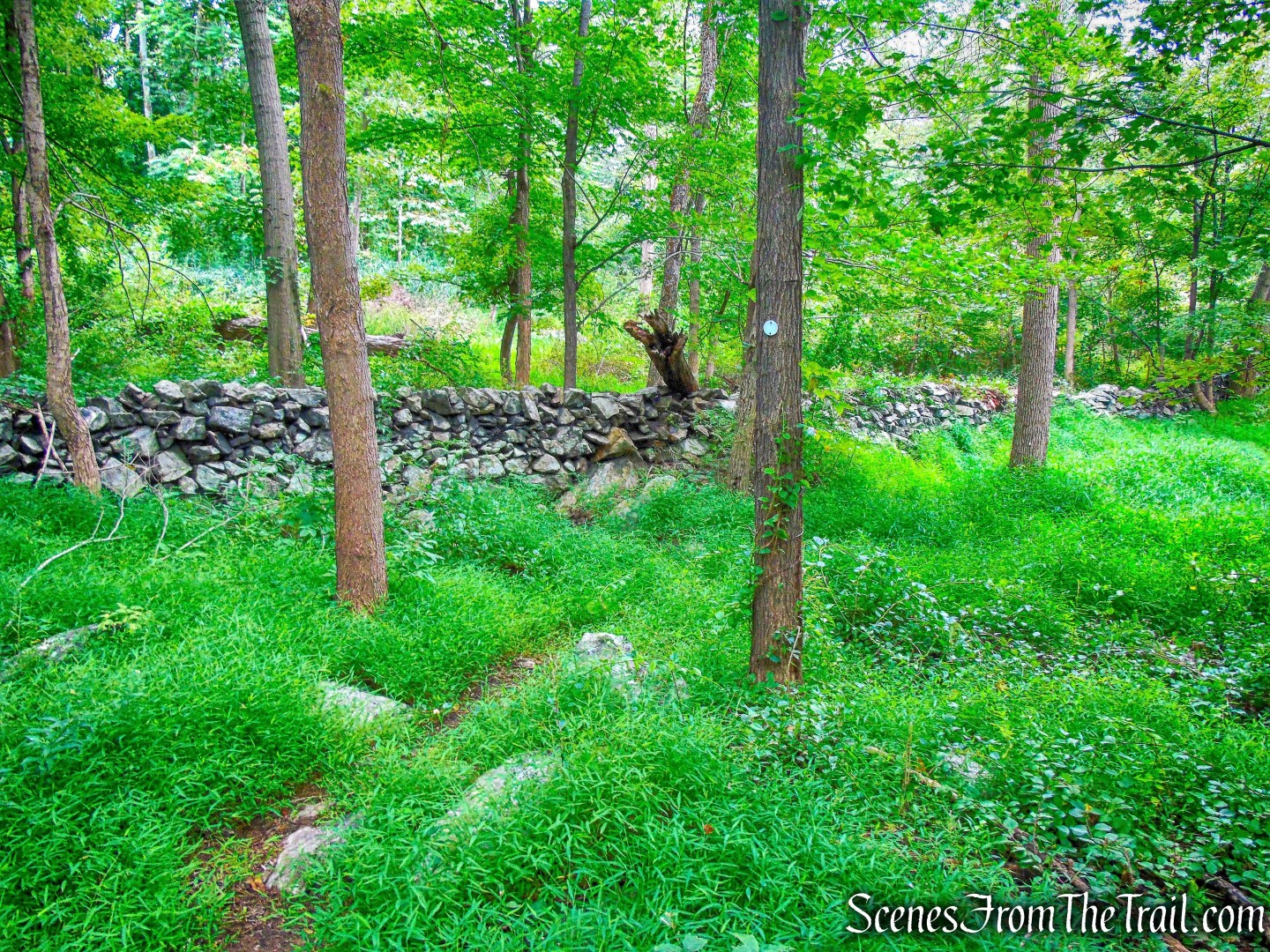 Manitou Point Preserve