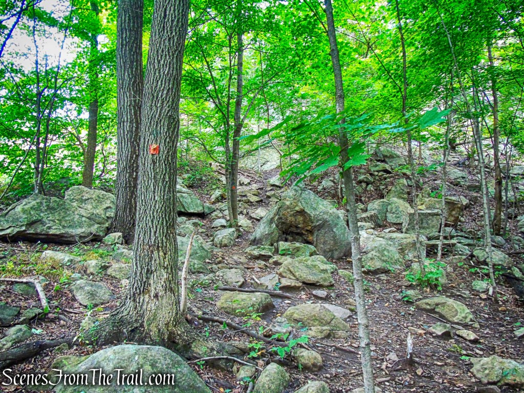 Butter Hill and Storm King Mountain Loop
