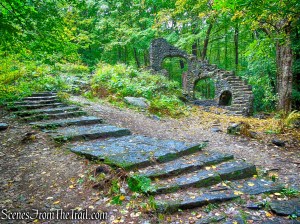 Madame Sherri Forest