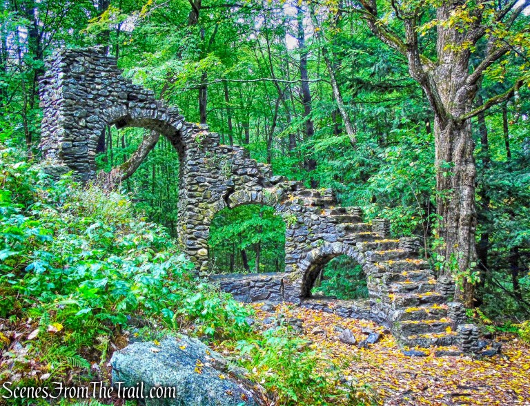 Madame Sherri Forest