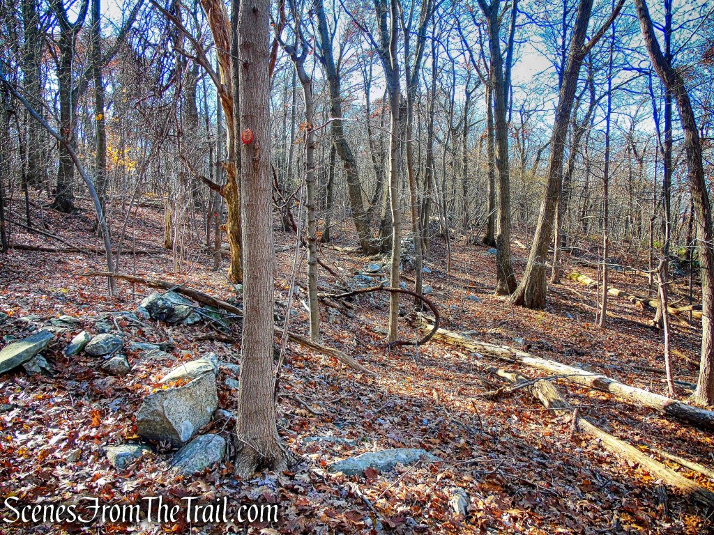 Lambs Hill – Fishkill Ridge Conservation Area