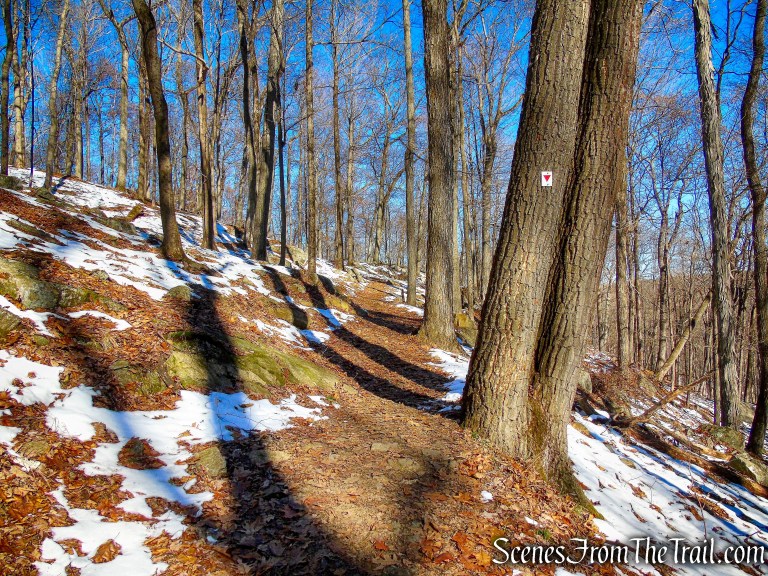 Pine Swamp Short Loop – Harriman State Park