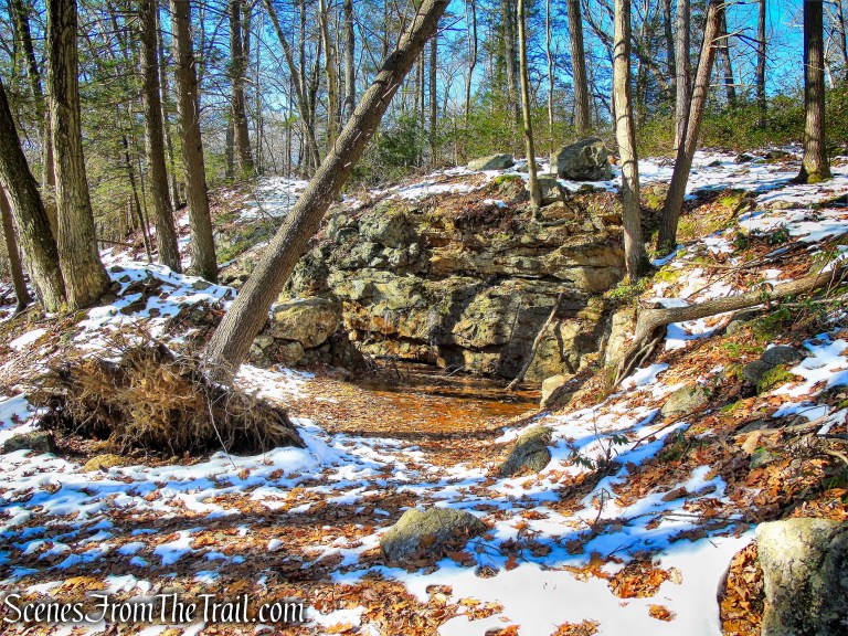 Pine Swamp Short Loop – Harriman State Park