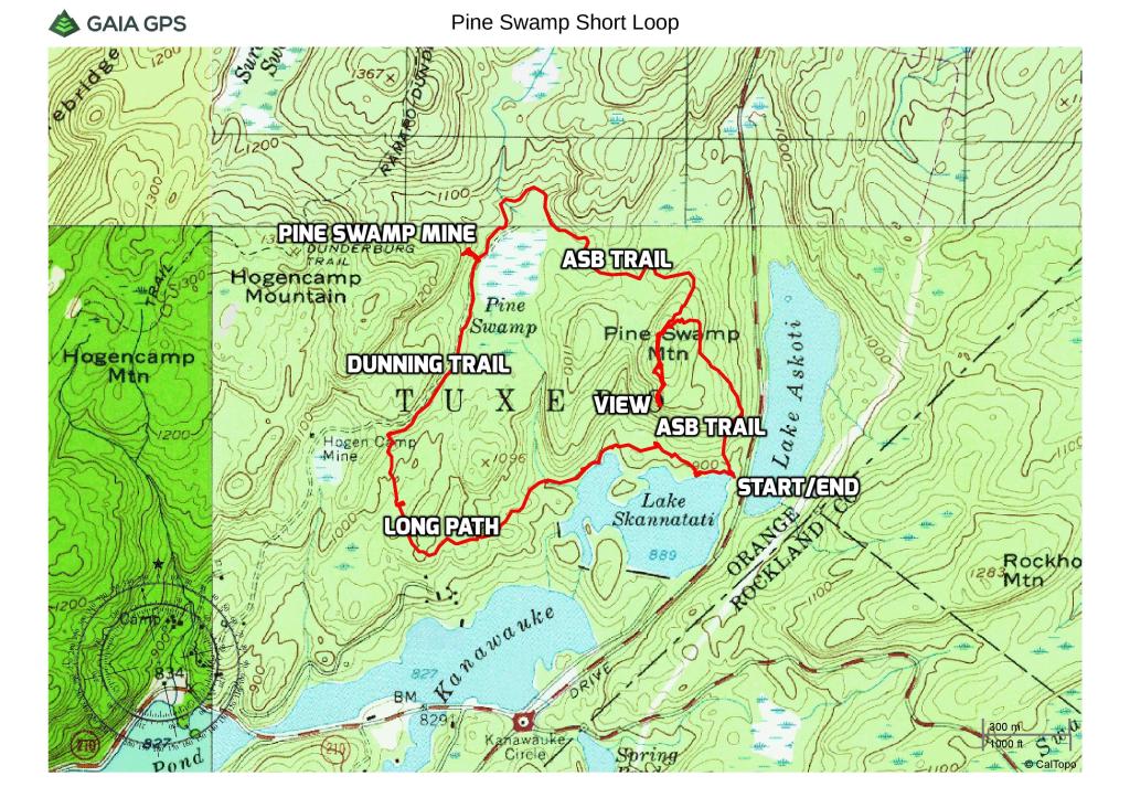 Pine Swamp Short Loop – Harriman State Park
