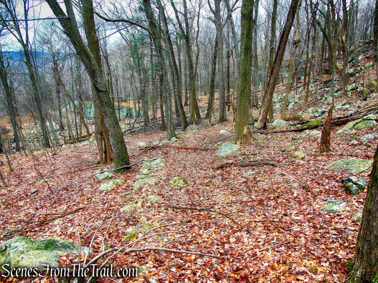 Dater Mountain Bushwack – Harriman State Park