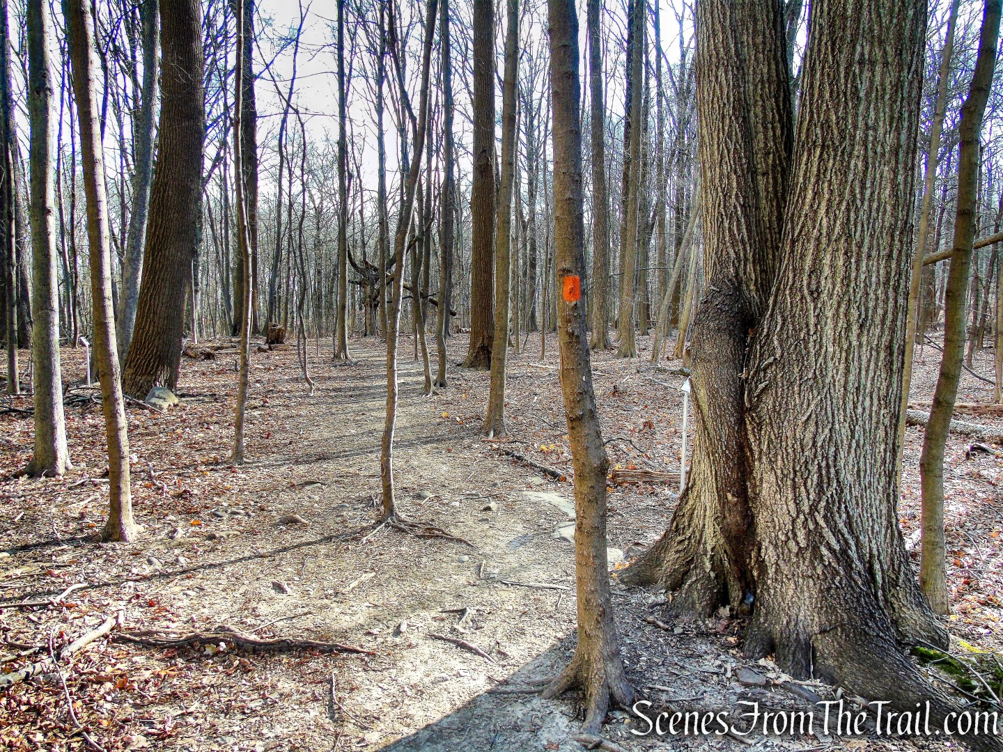 Tallman Mountain State Park – Hudson River Palisades