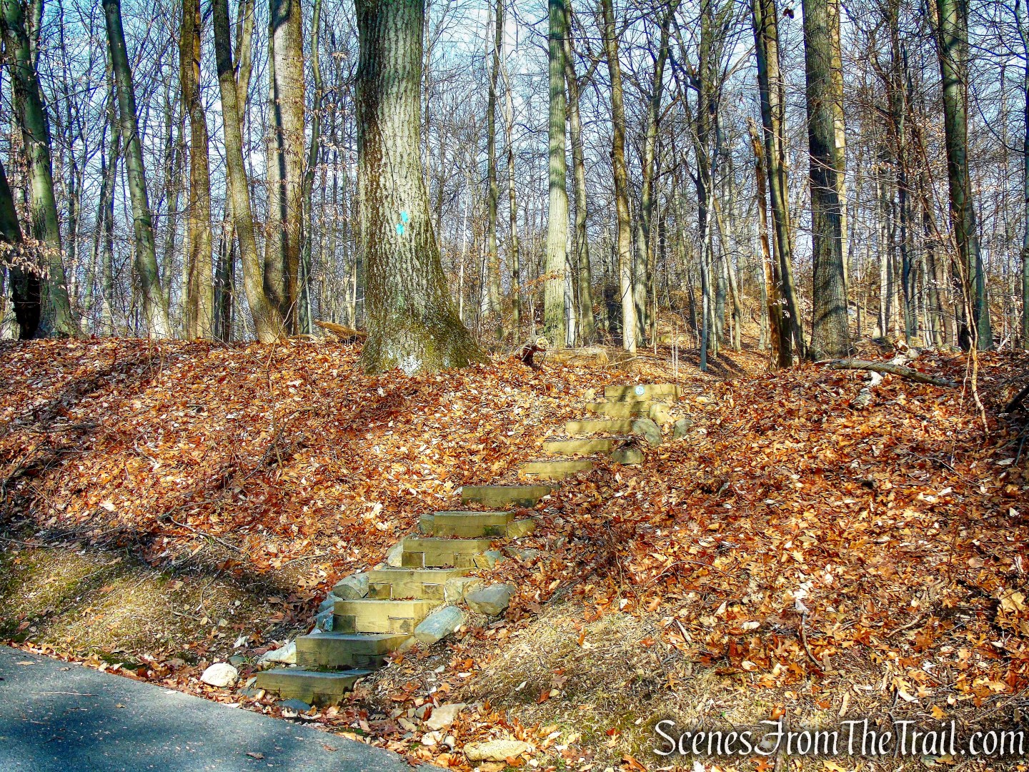 Tallman Mountain State Park – Hudson River Palisades