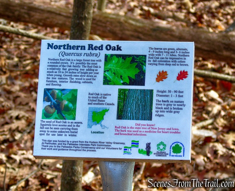 Tallman Mountain State Park – Hudson River Palisades