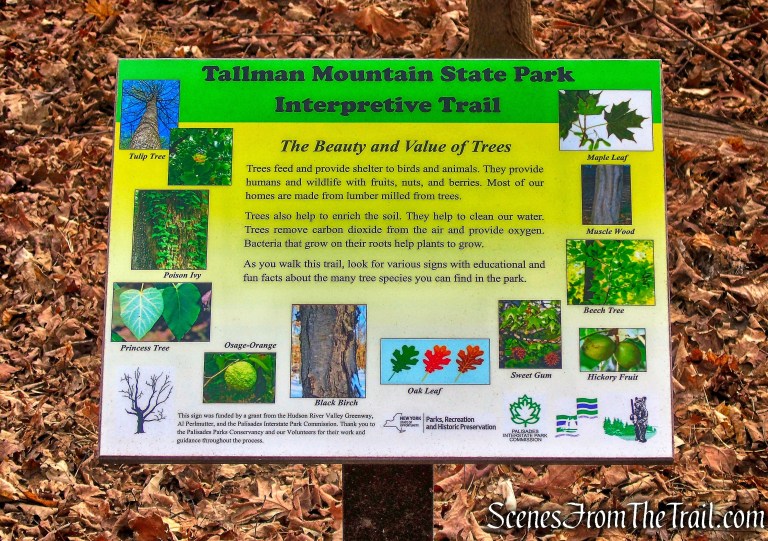 Tallman Mountain State Park – Hudson River Palisades