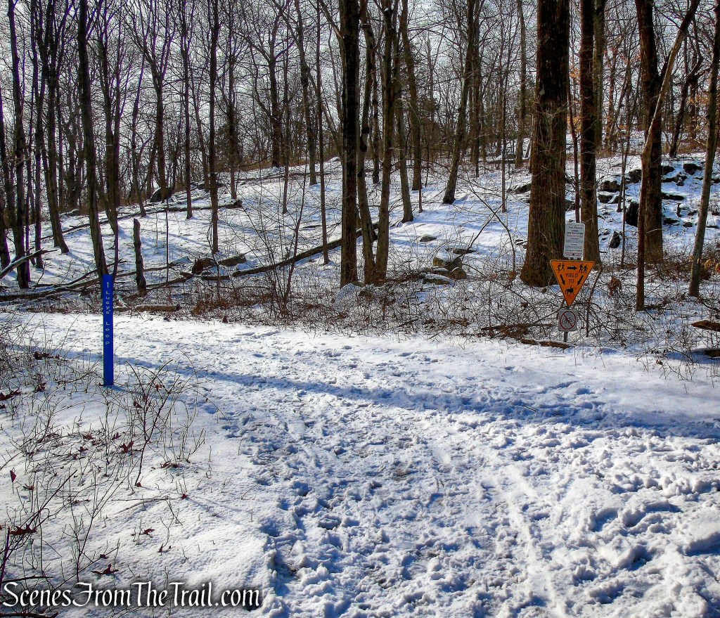 Raven Rock Loop – Rockefeller State Park Preserve
