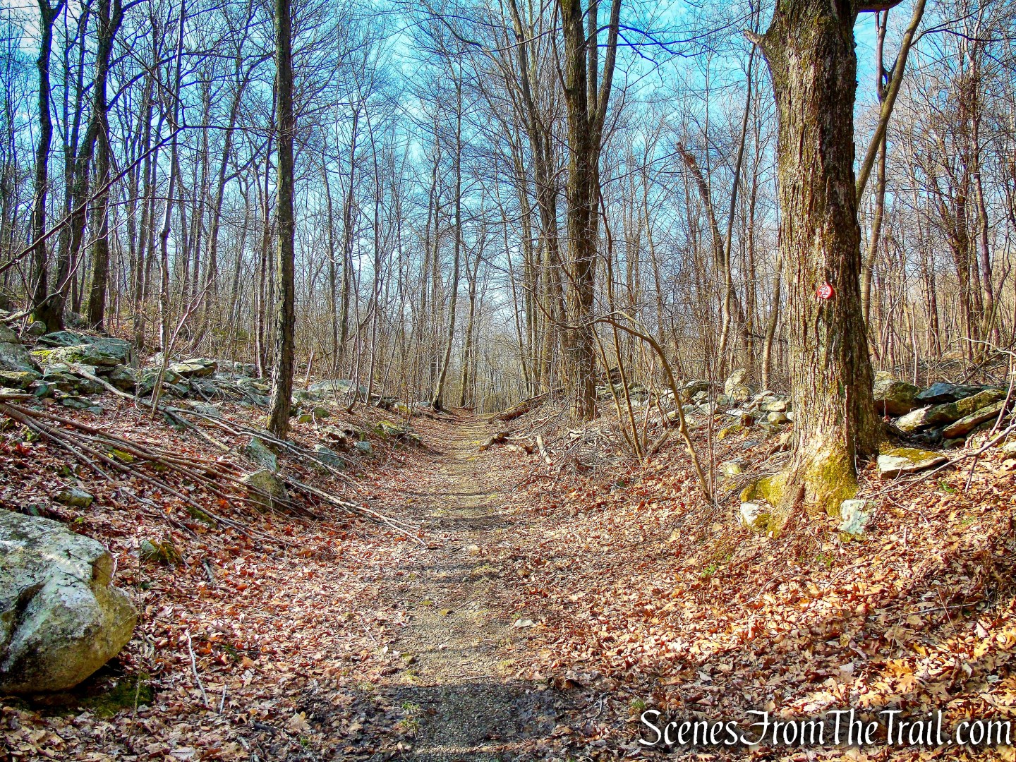 Hawk Rock Loop