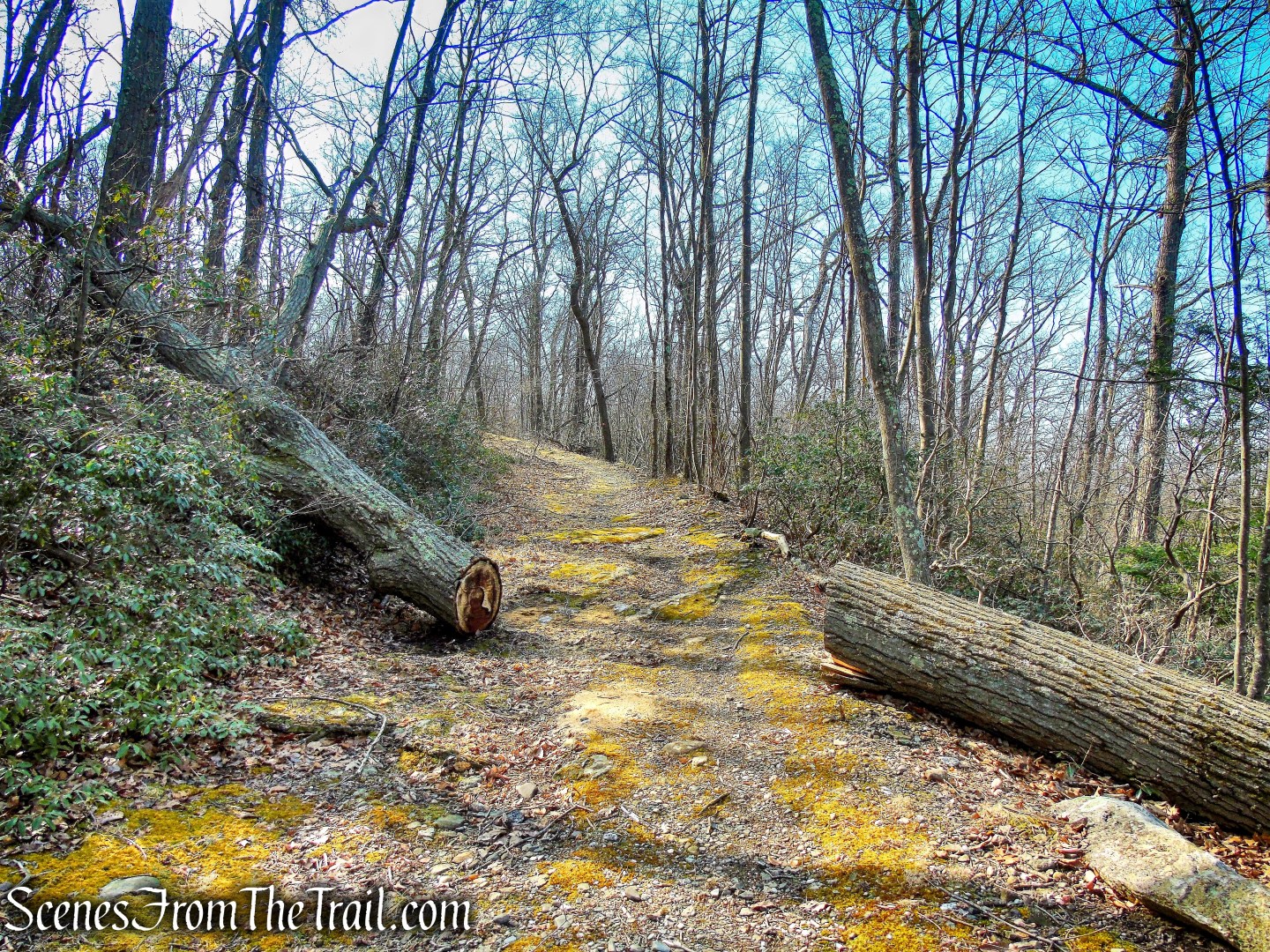 Hawk Rock Loop