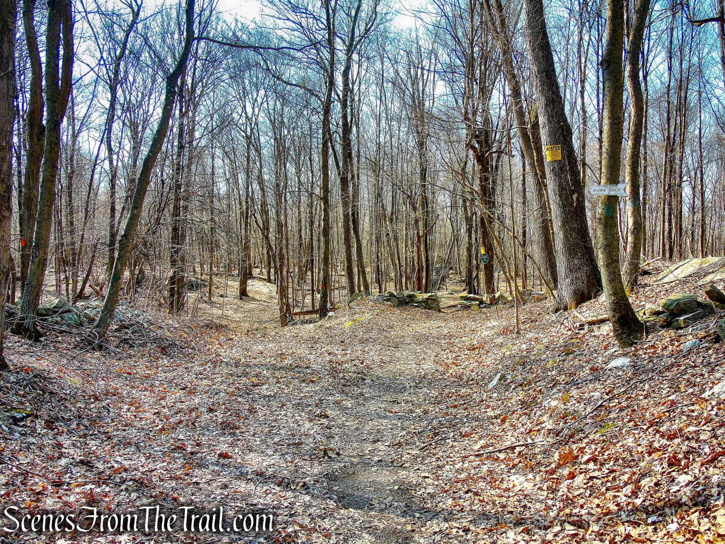 Hawk Rock Loop