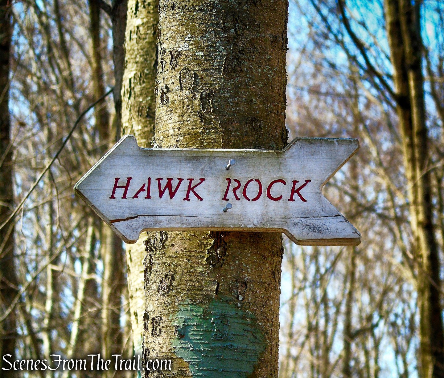 Hawk Rock Loop
