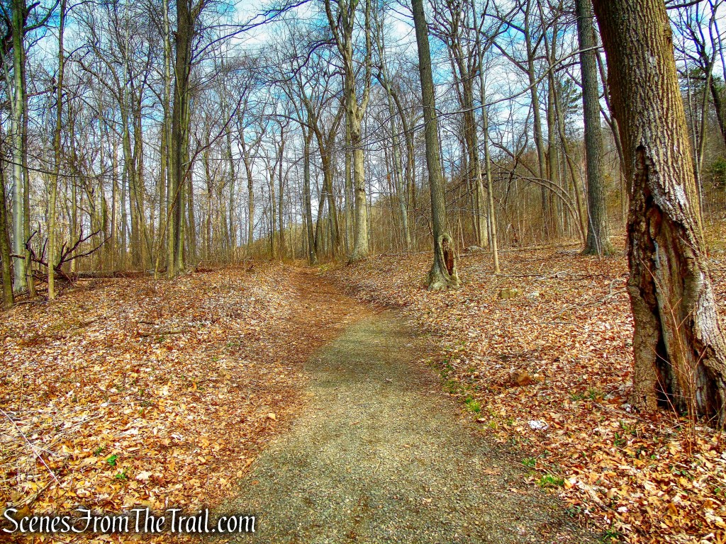 Castle Craig Loop – Hubbard Park