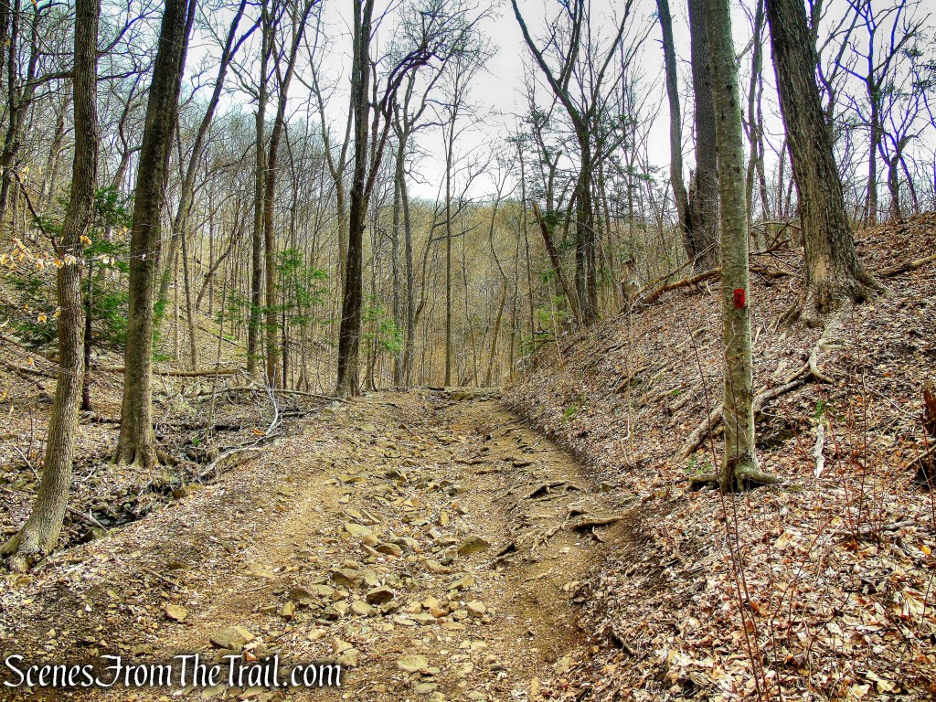 Castle Craig Loop – Hubbard Park