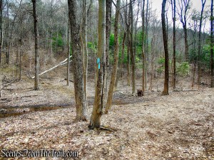 Castle Craig Loop – Hubbard Park