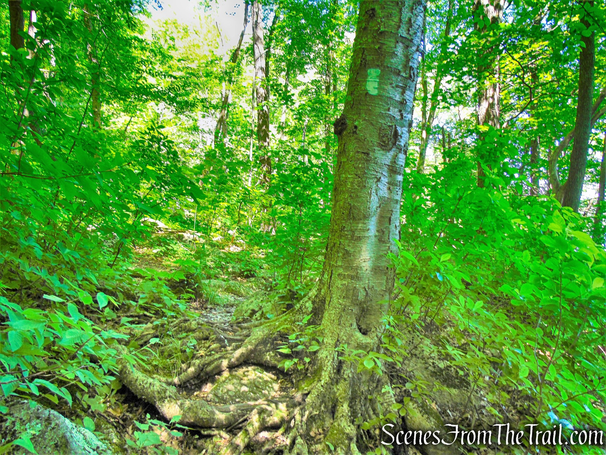 Squantz Pond State Park