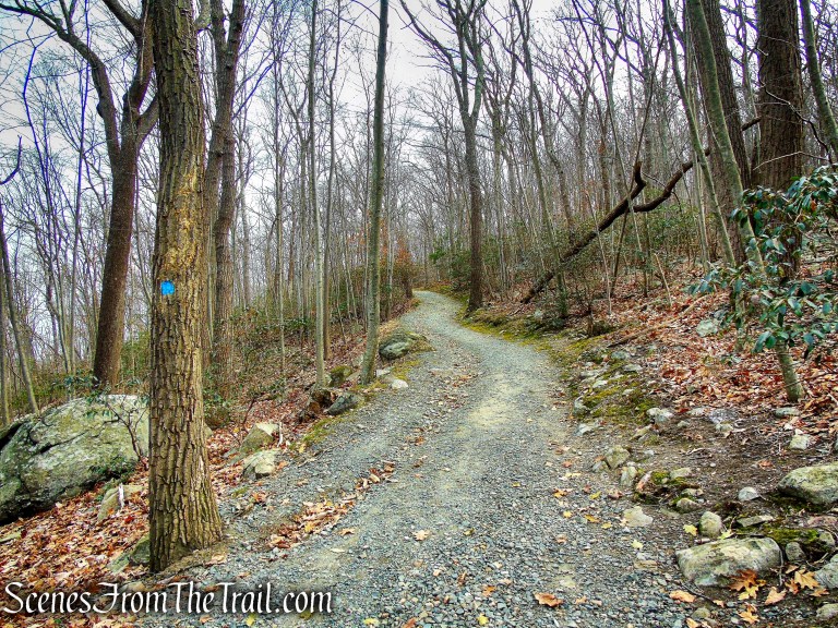 Silas Condict County Park
