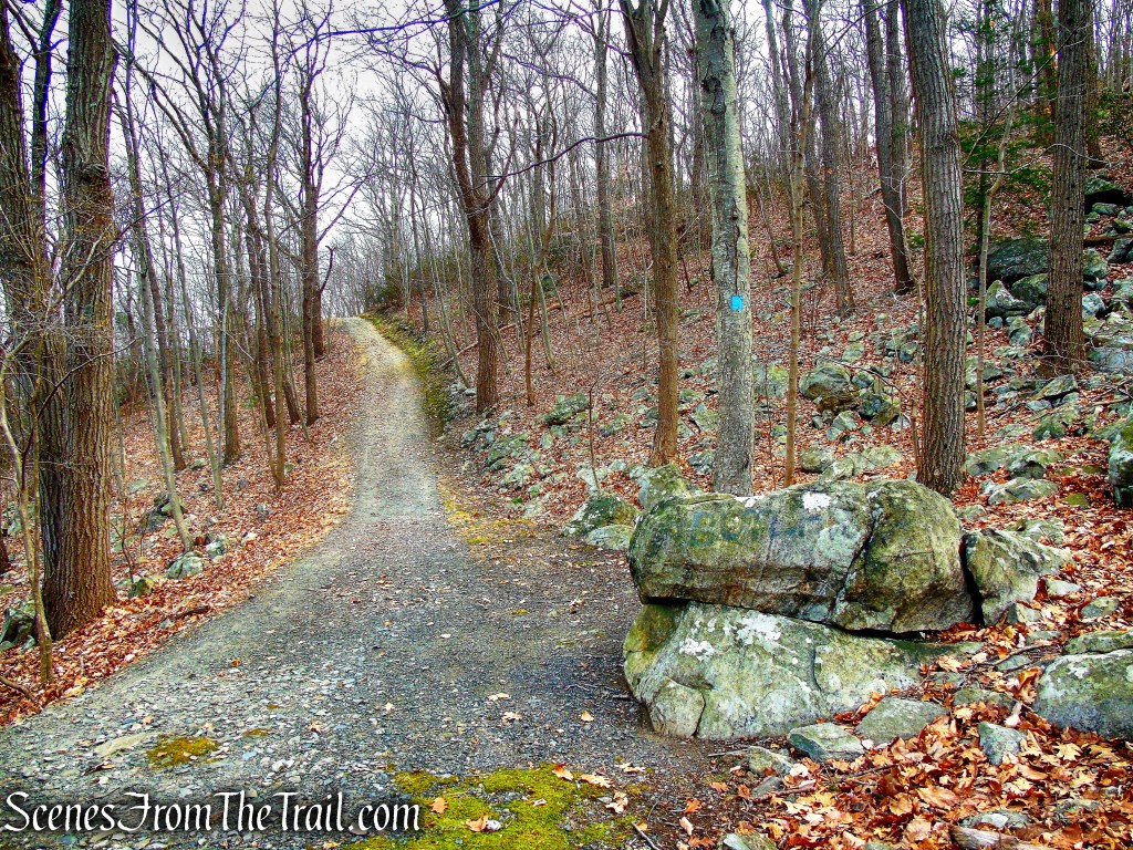 Silas Condict County Park