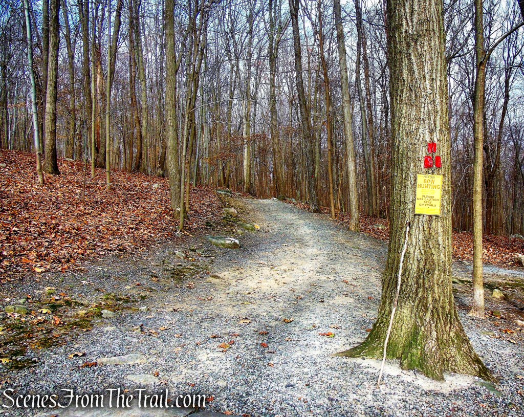 Silas Condict County Park
