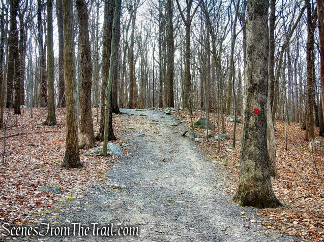 Silas Condict County Park
