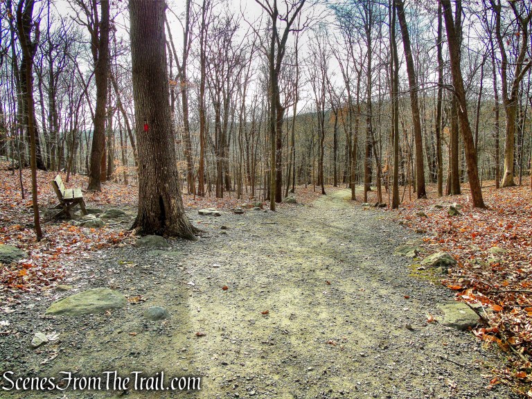 Silas Condict County Park