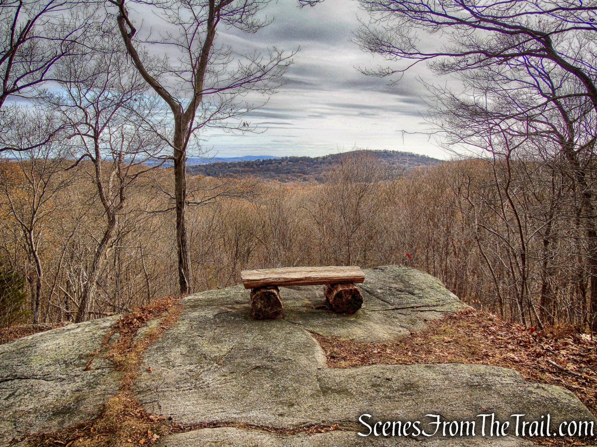 Silas Condict County Park