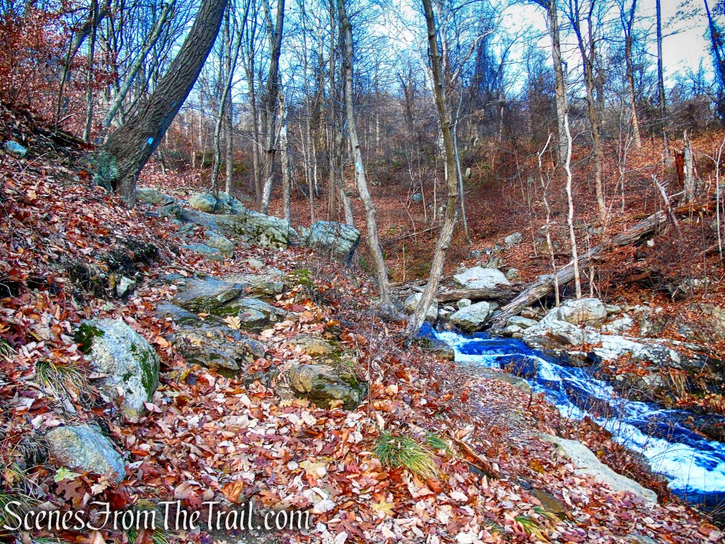 Doodletown Short Loop – Bear Mountain State Park