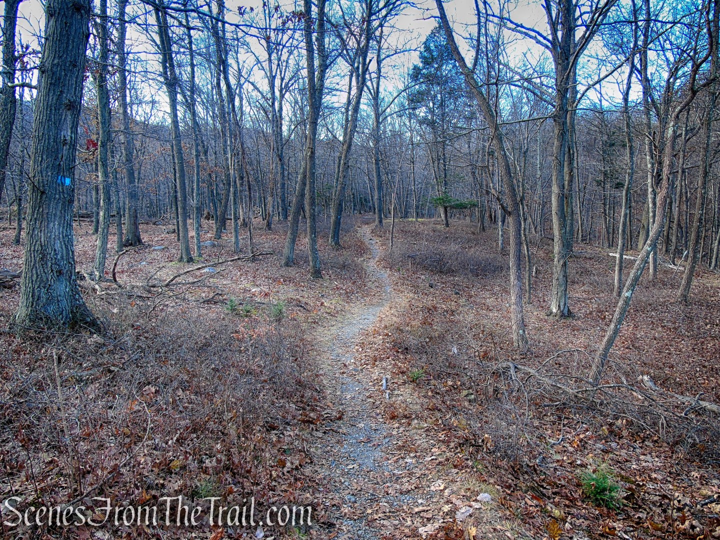 Doodletown Short Loop – Bear Mountain State Park