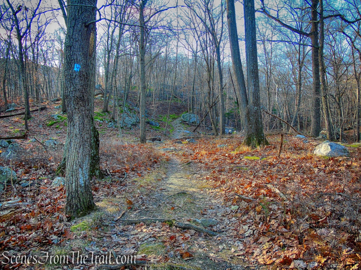 Doodletown Short Loop – Bear Mountain State Park