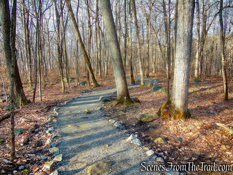 Pyramid Mountain Loop – Pyramid Mountain Natural Historic Area