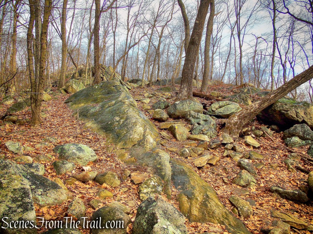Pyramid Mountain Loop – Pyramid Mountain Natural Historic Area