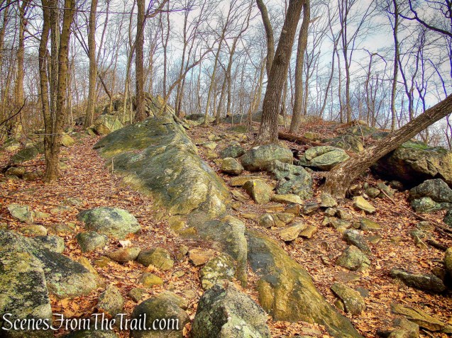 Pyramid Mountain Loop – Pyramid Mountain Natural Historic Area