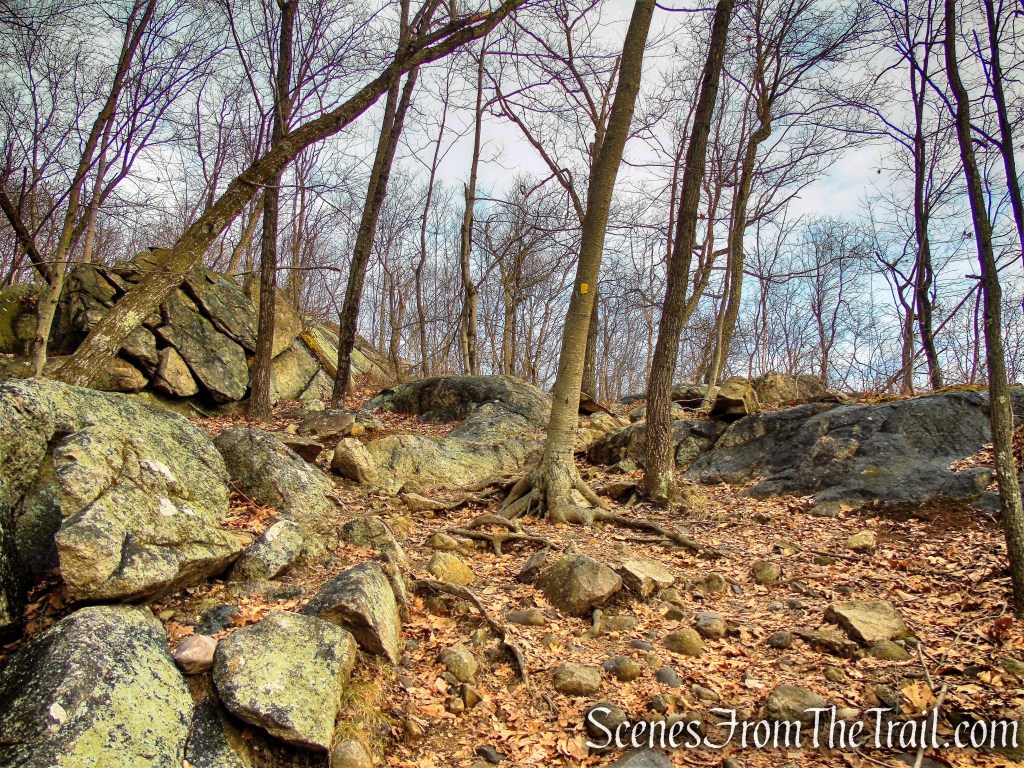 Pyramid Mountain Loop – Pyramid Mountain Natural Historic Area