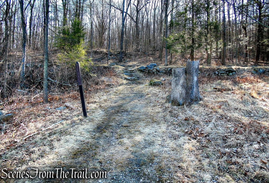 Tower Trail Loop – Mount Tom State Park