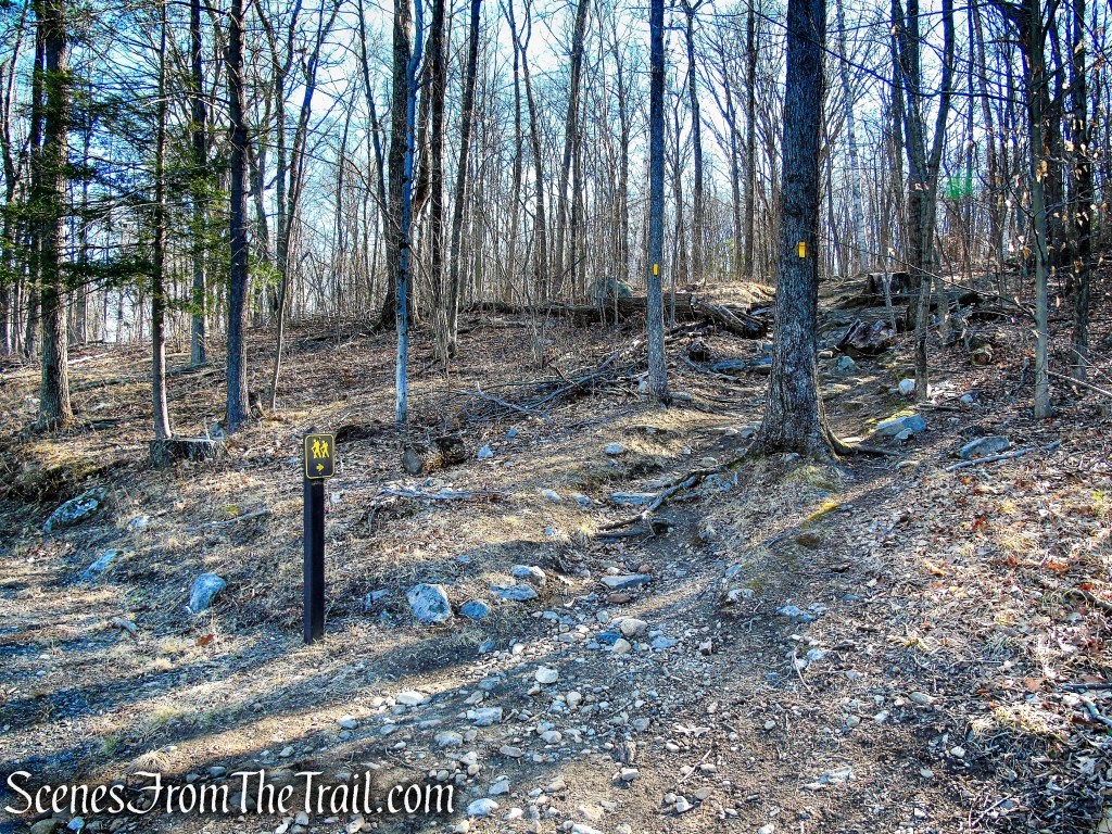 Tower Trail Loop – Mount Tom State Park