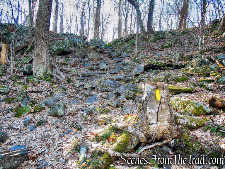 Tower Trail Loop – Mount Tom State Park