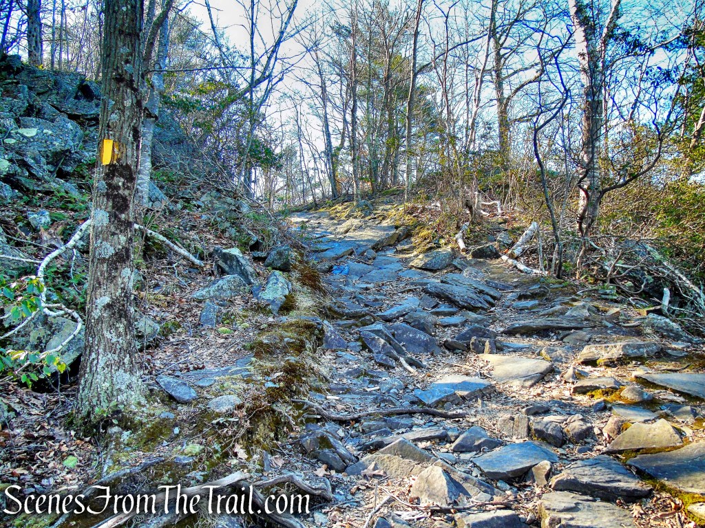 Tower Trail Loop – Mount Tom State Park