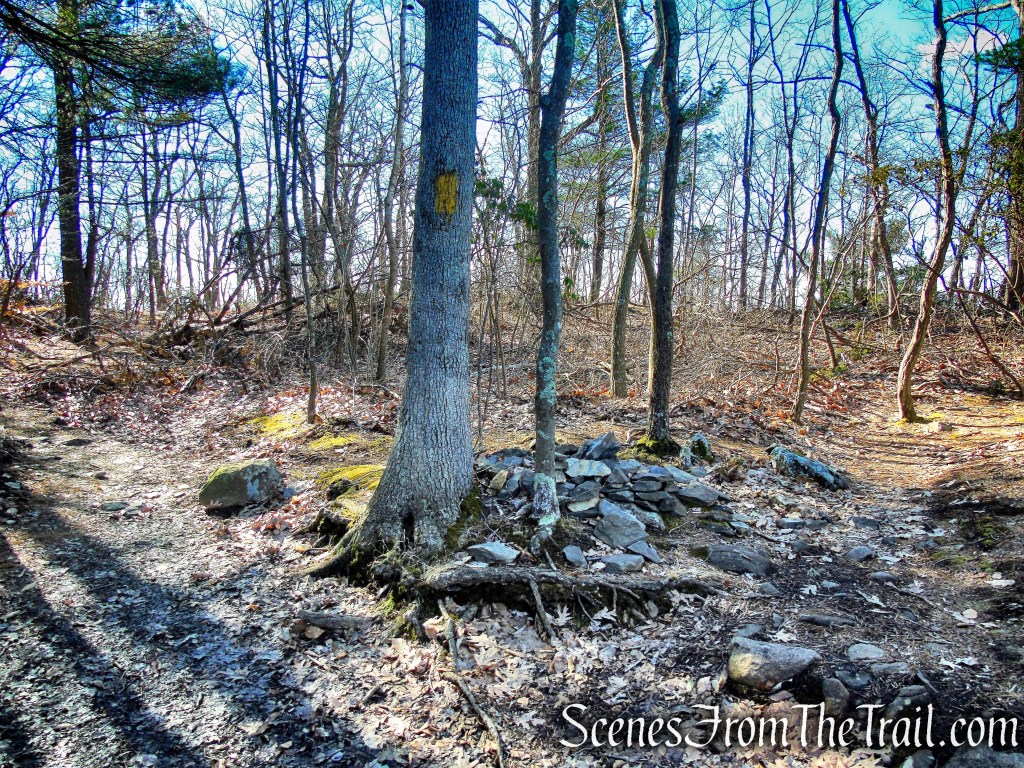 Tower Trail Loop – Mount Tom State Park