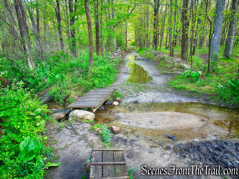 Northern Loop – Ward Pound Ridge Reservation