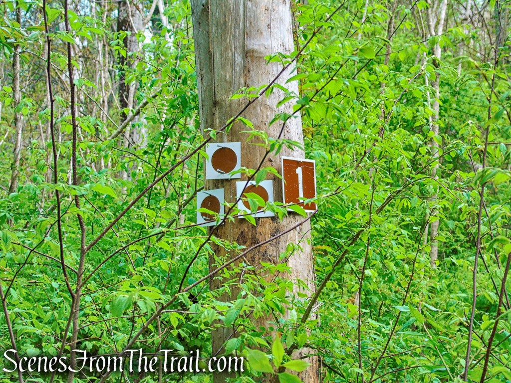 Northern Loop – Ward Pound Ridge Reservation