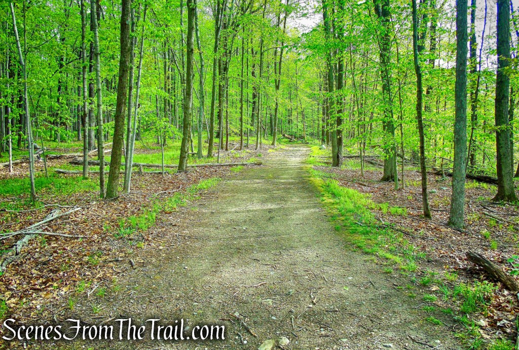 Northern Loop – Ward Pound Ridge Reservation