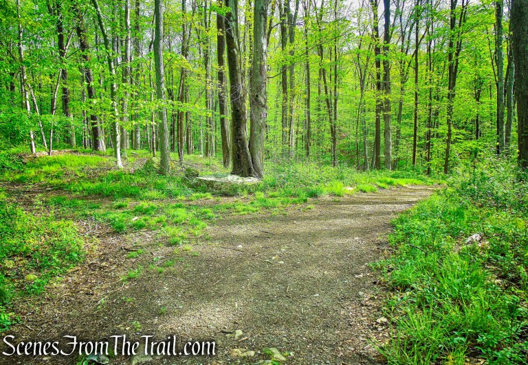 Northern Loop – Ward Pound Ridge Reservation